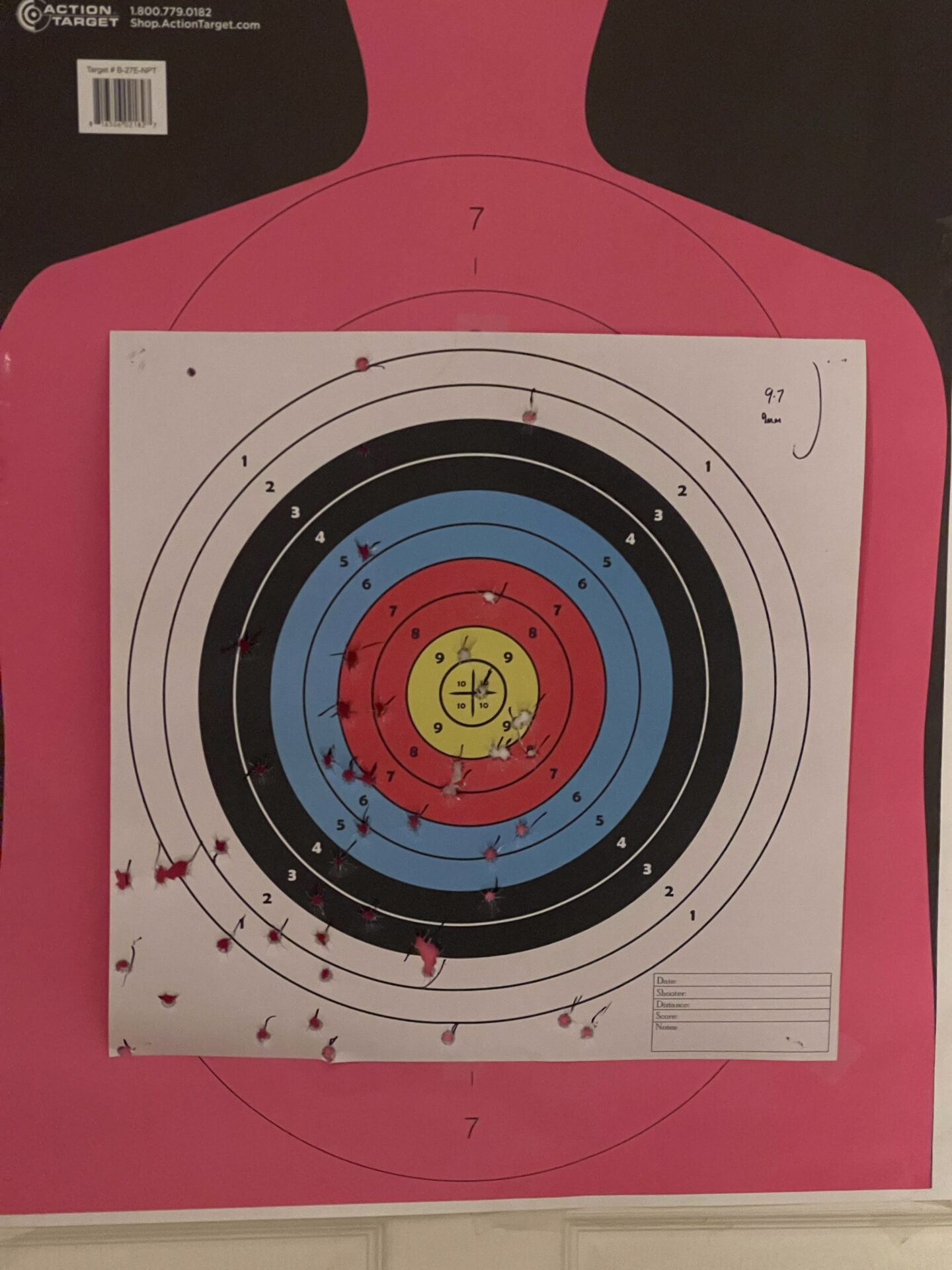 New Targets - The PewPew Turtle